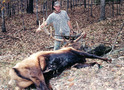 Photos of Elk Hunts at High Adventure Ranch, Elk Hunting Photos