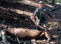 Photos of Elk Hunts at High Adventure Ranch, Elk Hunting Photos